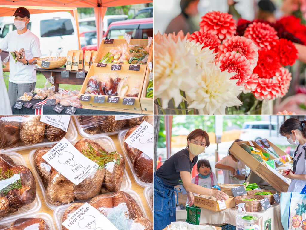 特別開催！10/15・16（土・日）【 RKBカラフルフェス】 ｜ 【公式】福マルシェ｜福岡市内8会場で開催する都市型マルシェ