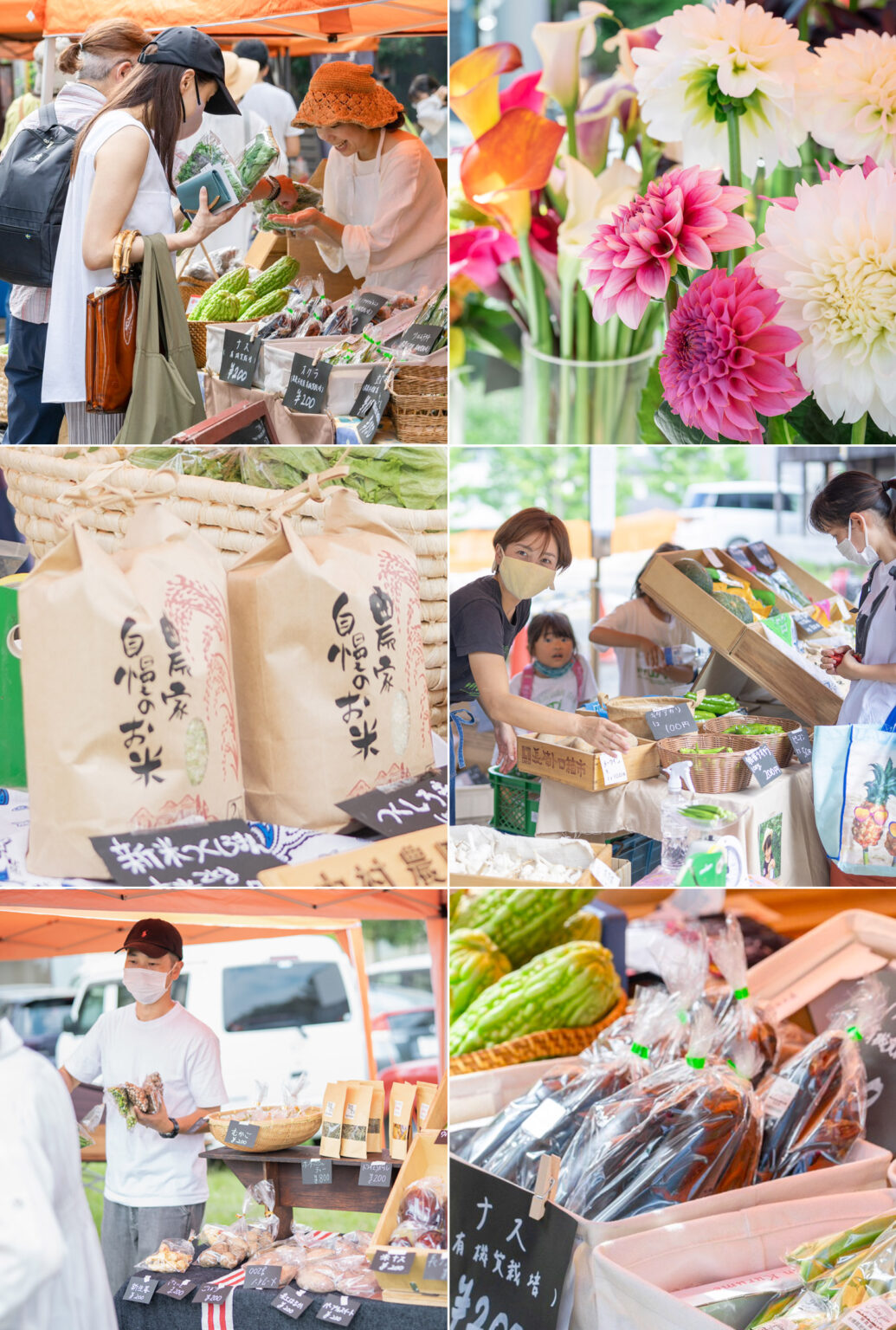 10/14(土) 15(日)【RKBカラフルフェス】にて秋の特別開催！食欲の秋を満喫するとっておきの週末！ ｜ 【公式】福マルシェ｜福岡市内8会場で開催する都市型マルシェ